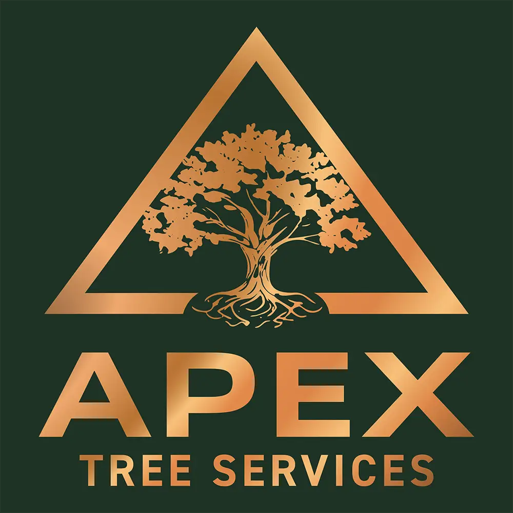 Tree Services Central MS | Apex Tree Removal & Mulching